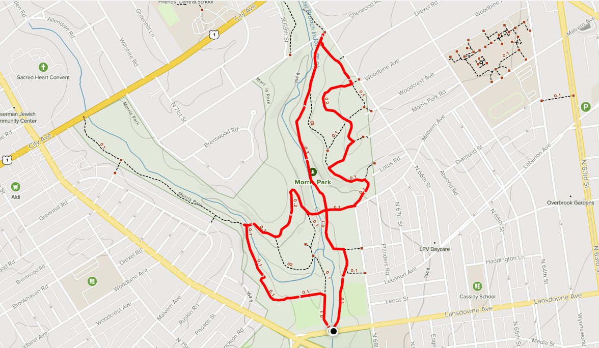 Morris Park – Philadelphia – City Nature Challenge